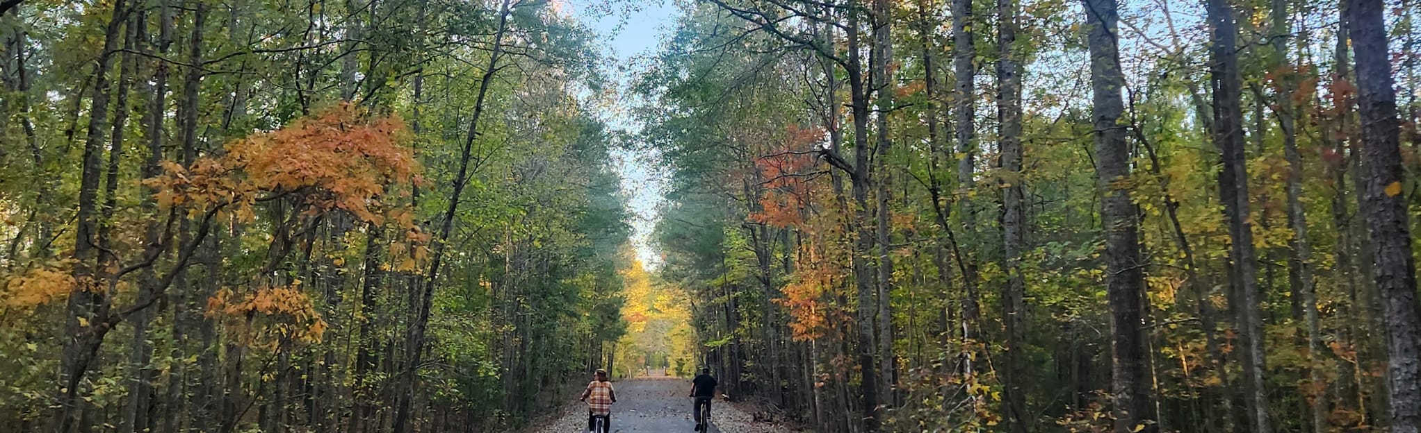 Cricket Frog Trail, Georgia - 110 Reviews, Map | AllTrails