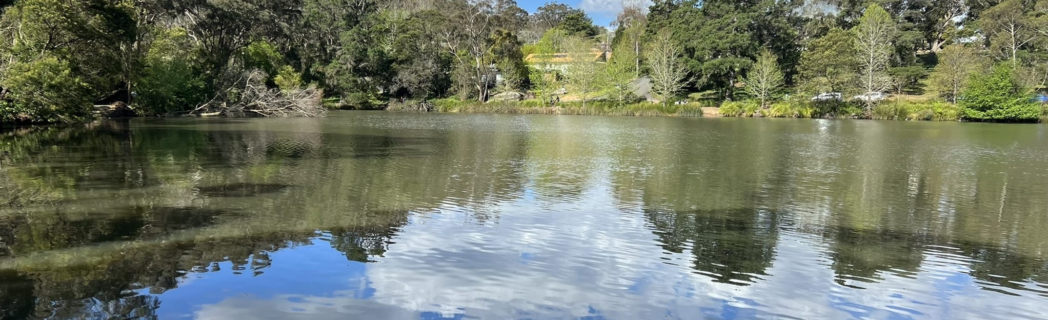 Lake Alexandra Loop: 44 Fotos - New South Wales, Australien | AllTrails