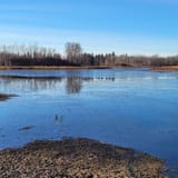 Amisk Wuche Trail, Alberta, Canada - 435 Reviews, Map | AllTrails