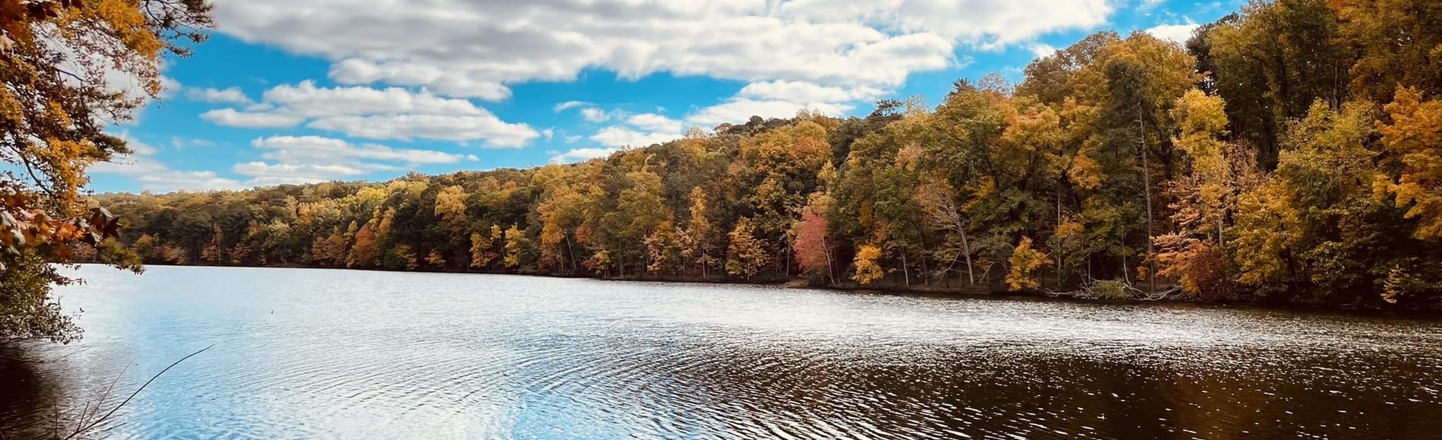 Venable Lake Loop: 594 Reviews, Map - Georgia | AllTrails