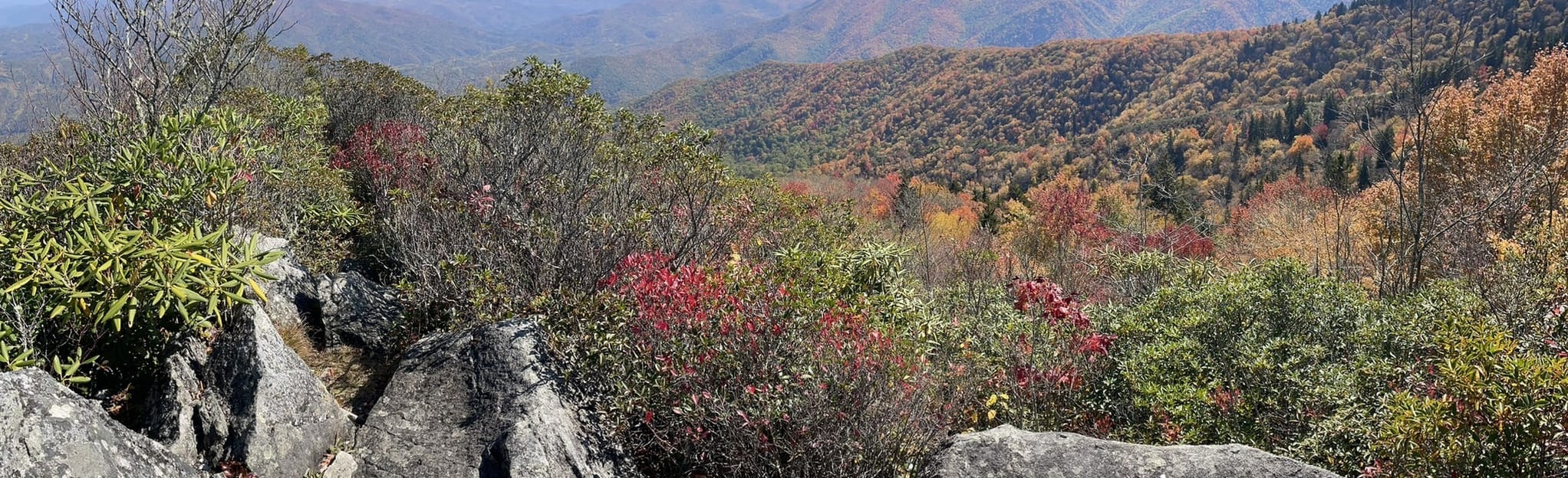 Mount Cammerer via Chesnut Branch Trail and Big Creek Trail, North ...