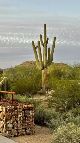 Best Hikes and Trails in Desert Arroyo Park | AllTrails