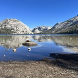Tenaya Lake Trail, California - 506 Reviews, Map | AllTrails
