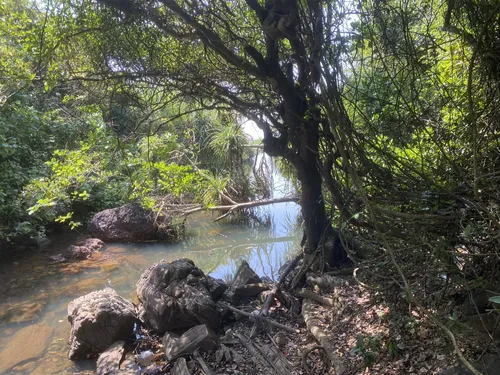 10 Best Trails and Hikes in Goa | AllTrails