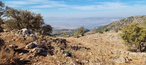 2023 Best 10 Trails, Walks, and Paths in Majdal Shams | AllTrails
