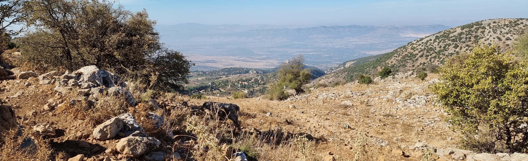 Nahal Guvta to Majdal Shams: 32 fotos - Colinas de Golã, Israel | AllTrails