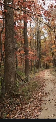 Best Hikes and Trails in Wayne National Forest - Athens Unit | AllTrails