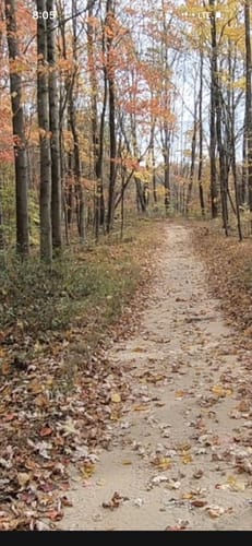 Best Hikes and Trails in Wayne National Forest - Athens Unit | AllTrails