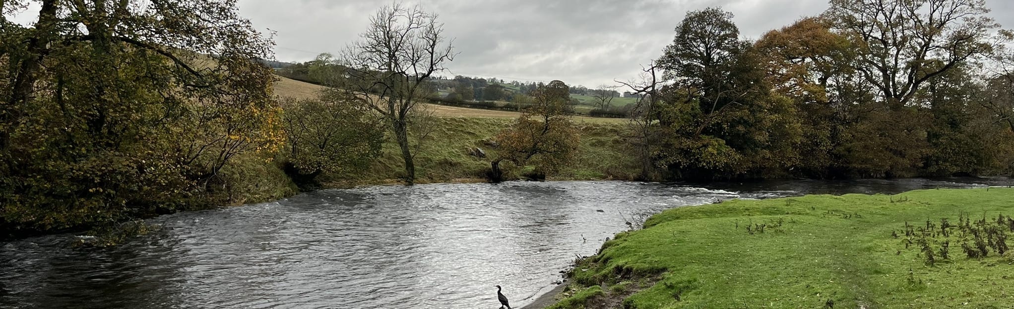 Kendal - Natland Circular: 33 Reviews, Map - Cumbria, England | AllTrails