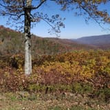 Slacks Trail [CLOSED], Virginia - 34 Reviews, Map | AllTrails
