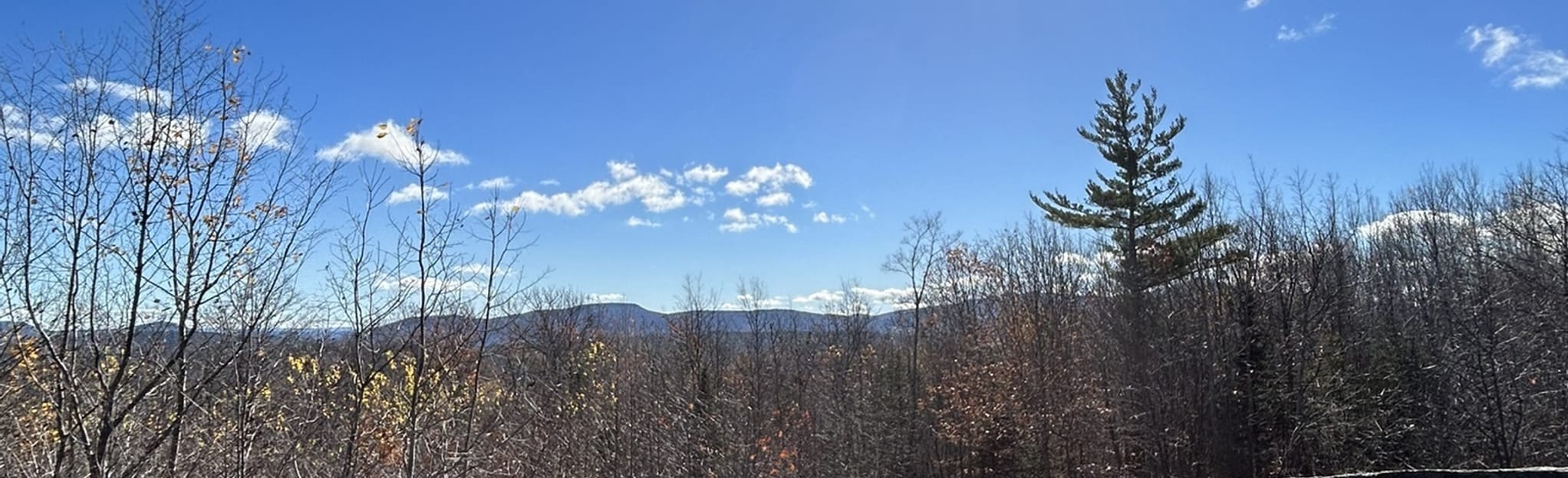 Daggett Rock Trail | Map, Guide - Maine | AllTrails