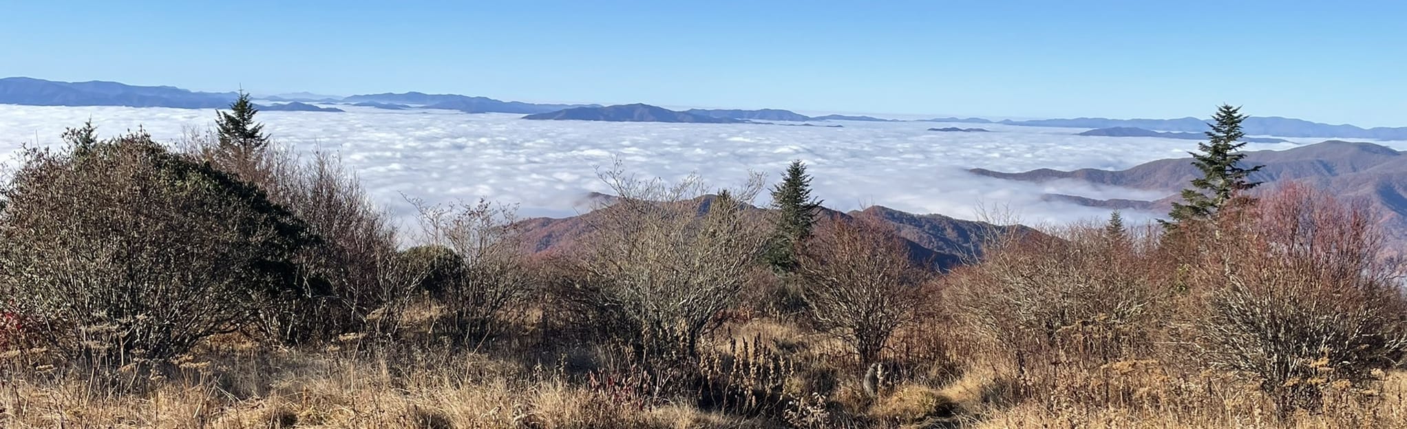 Forney Ridge Trail from Clingman's Dome to Buckhorn Bald | Map, Guide ...