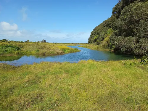 10 Best Easy Trails in Waitakere Ranges Regional Park | AllTrails