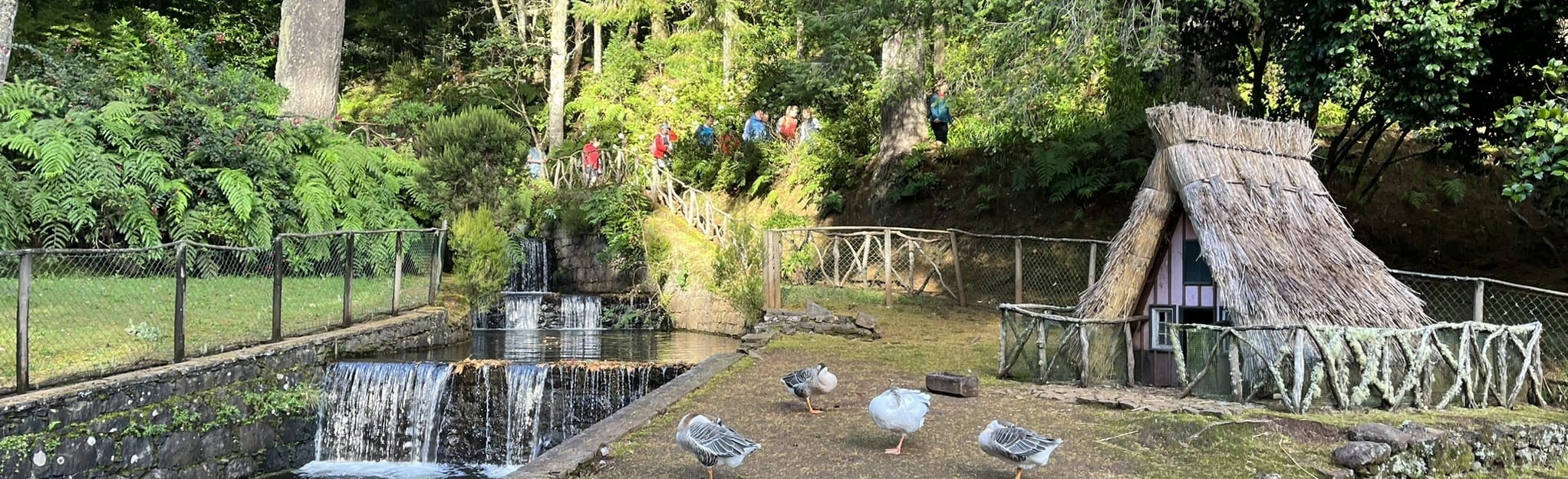 Parque das Queimadas via Um Caminho para Todos: 179 foto - Madera ...