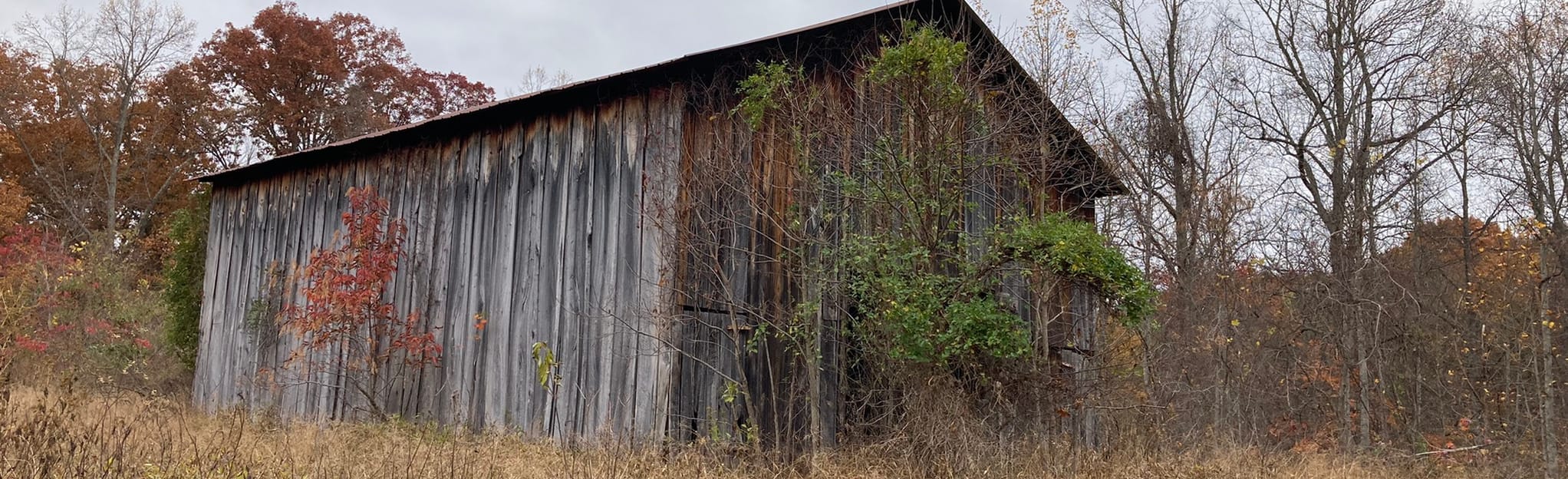 Jesse Stuart Preserve Trail, 68 Photos - Kentucky | AllTrails