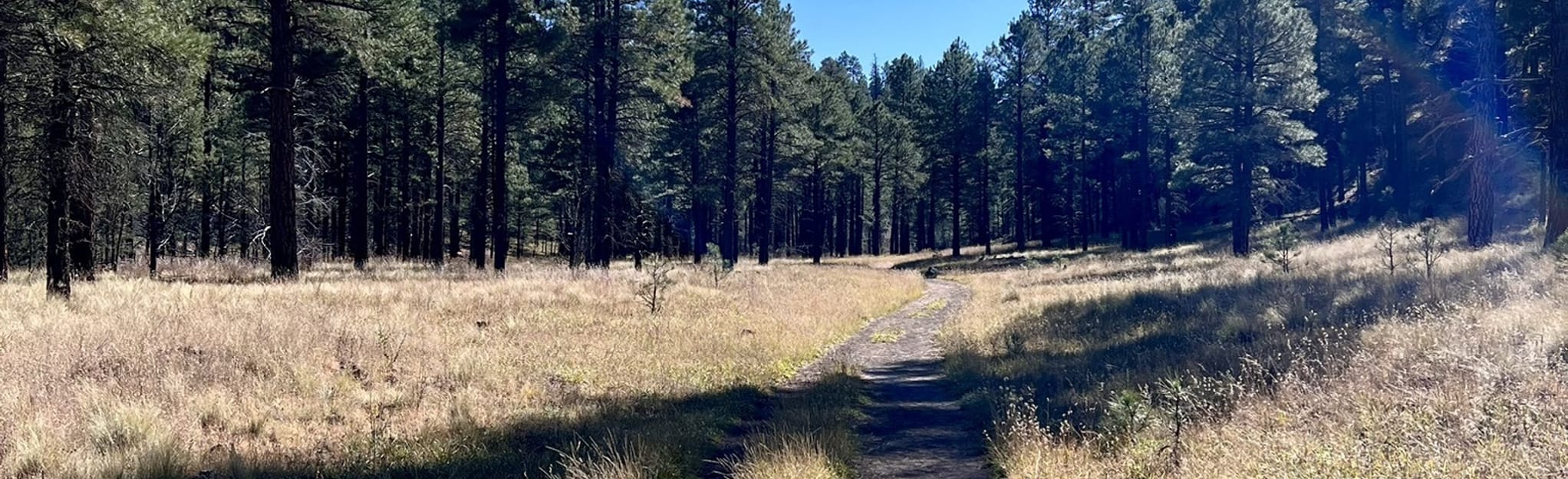 Sandys Canyon Trail, Arizona - 1,135 Reviews, Map | AllTrails