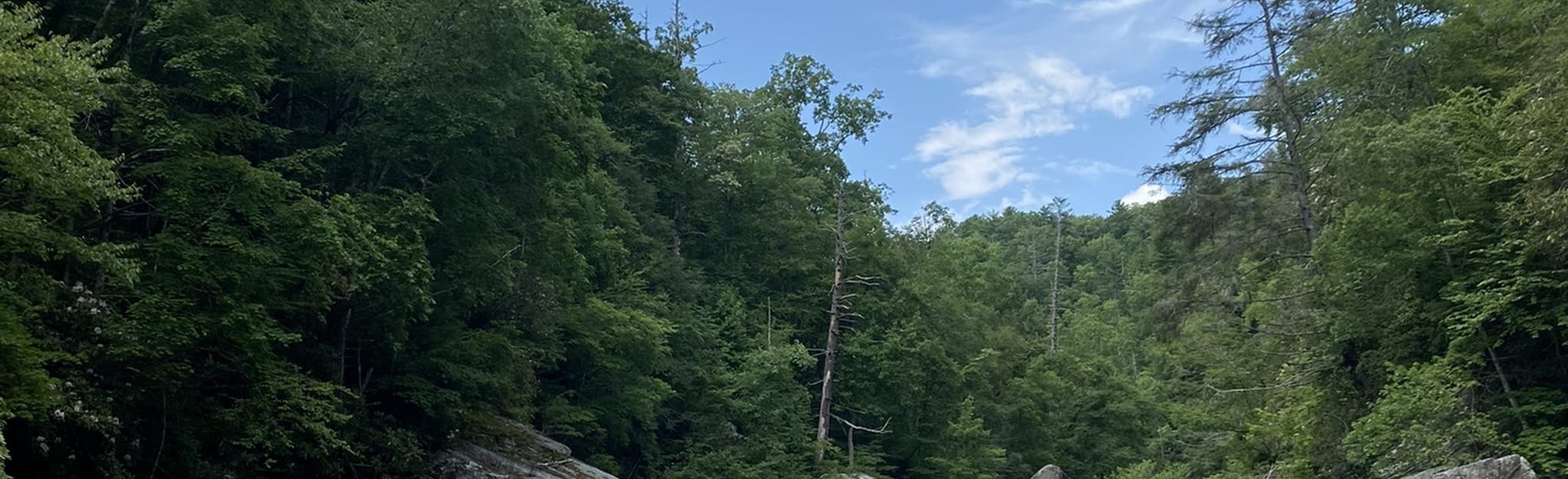 Devils Hole, Linville Gorge, Spence Ridge Trail, North Carolina - 25 ...
