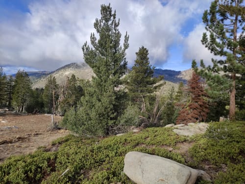 2023 Best Camping Trails in Mount Rose Wilderness | AllTrails