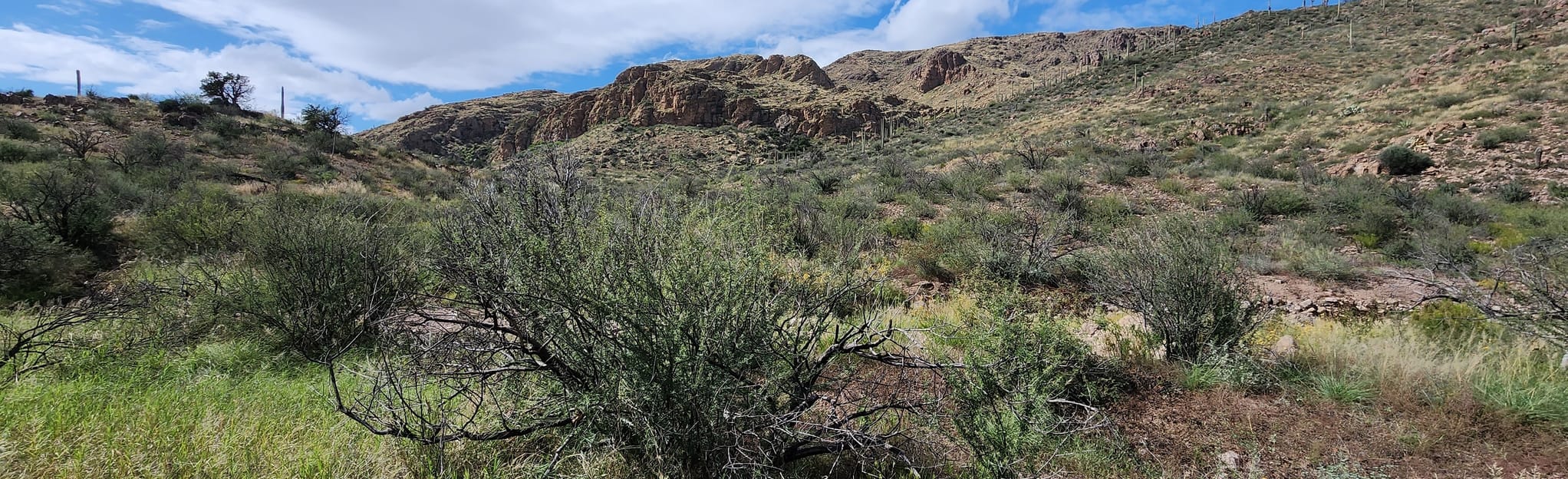 Dutchman's Trail, Whiskey Spring, Red Tanks and Bluff Spring Loop: 39 ...
