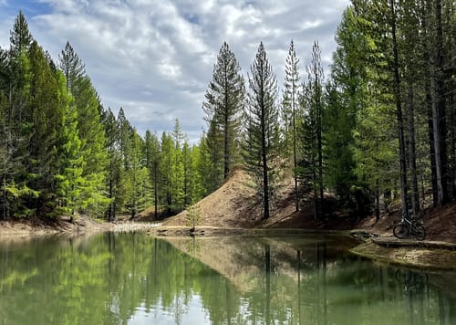 Best Hikes and Trails in Naseby Forest | AllTrails