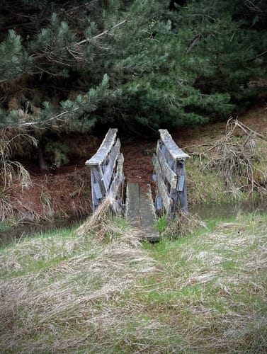 Best Hikes and Trails in Naseby Forest | AllTrails