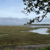 Itchenor Circular, West Sussex, England - 247 Reviews, Map | AllTrails