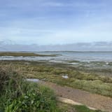 Itchenor Circular, West Sussex, England - 247 Reviews, Map | AllTrails