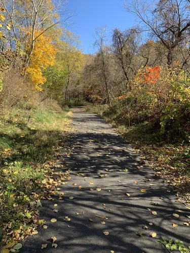 Best Hikes and Trails in Riverfront Park | AllTrails