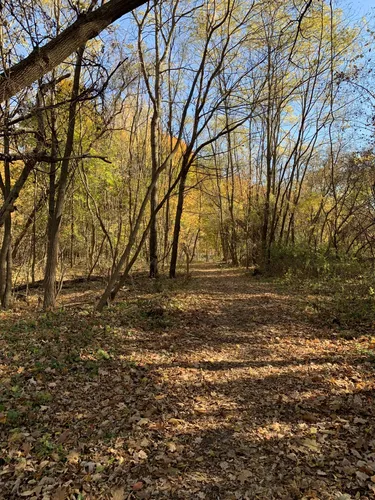 Best Hikes and Trails in Riverfront Park | AllTrails