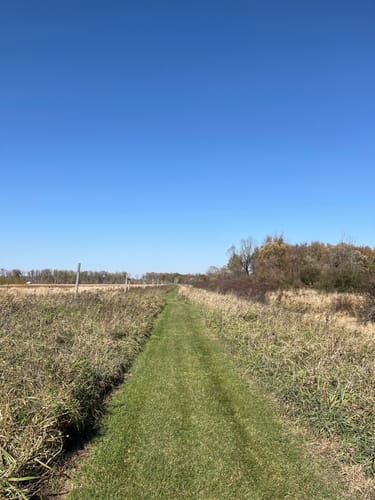 Best Hikes and Trails in Corey Marsh Ecological Research Center ...
