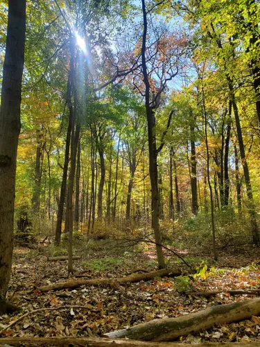 Best Hikes and Trails in Bradner Preserve | AllTrails