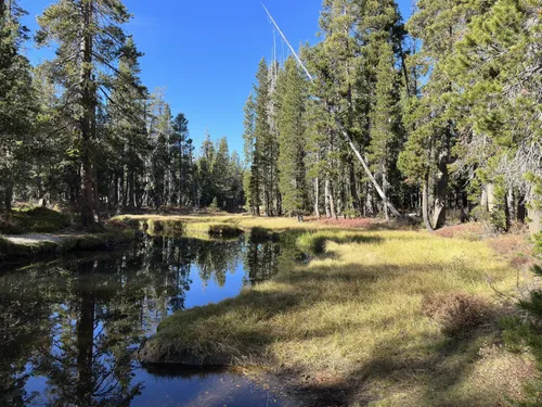 10 Best Trails and Hikes in Pollock Pines | AllTrails
