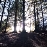 Beacon Fell Circular, Lancashire, England - 80 Reviews, Map | AllTrails