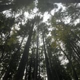 Hurricane Ridge Loop From Port Angeles, Washington - 6 Reviews, Map ...