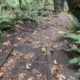 Hurricane Ridge Loop From Port Angeles, Washington - 6 Reviews, Map ...