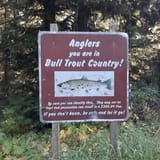 Upper Priest River Trail, Idaho - 86 Reviews, Map | AllTrails