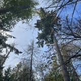 Hurricane Ridge Loop From Port Angeles, Washington - 6 Reviews, Map ...