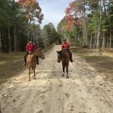 Carbuncle Pond and Moosup River Trail, Rhode Island - 261 Reviews, Map ...