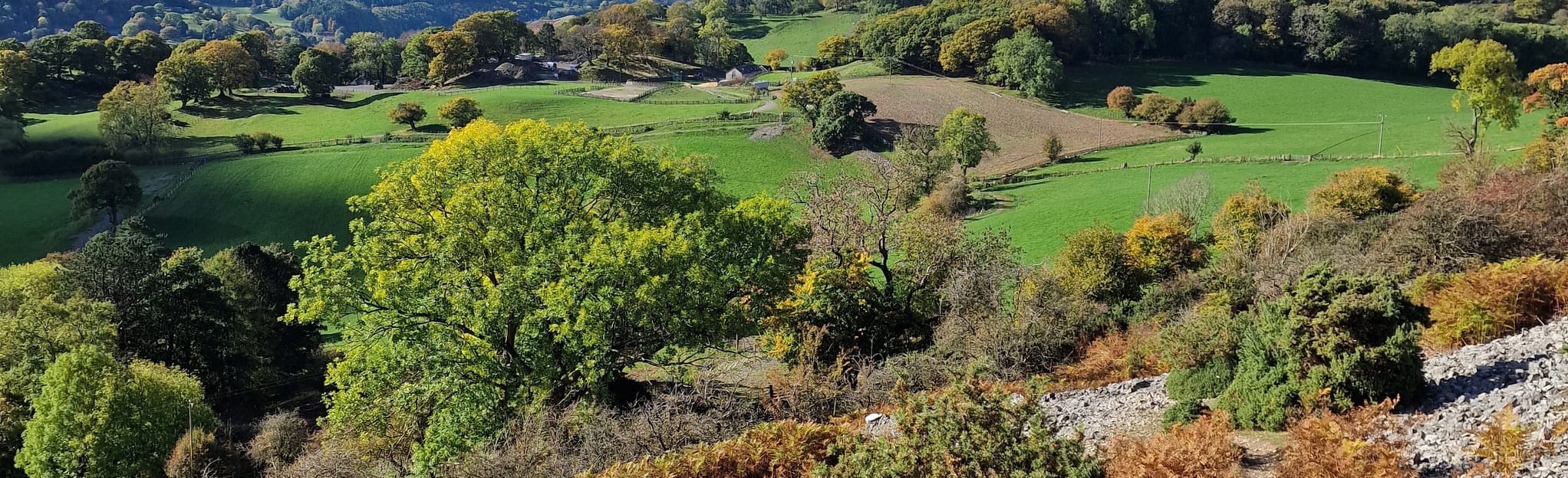 Panorama Walk Circular, Denbighshire, Wales - 60 Reviews, Map | AllTrails