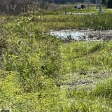 Largo Nature Preserve Loop, Florida - 402 Reviews, Map | AllTrails