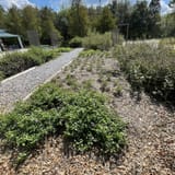 Largo Nature Preserve Loop, Florida - 402 Reviews, Map | AllTrails