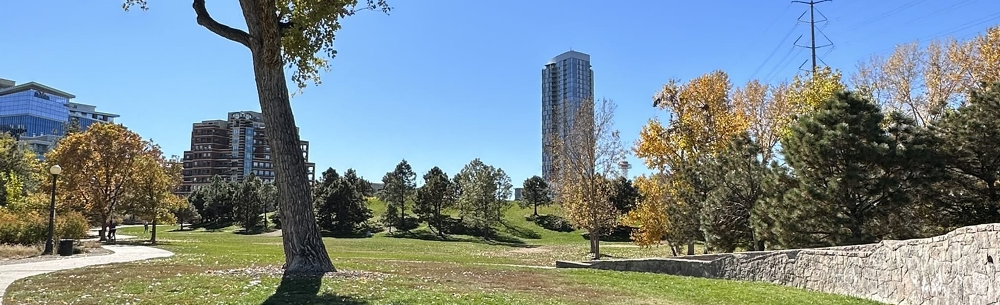 Commons Park Riverfront Loop: 311 Reviews, Map - Colorado | AllTrails