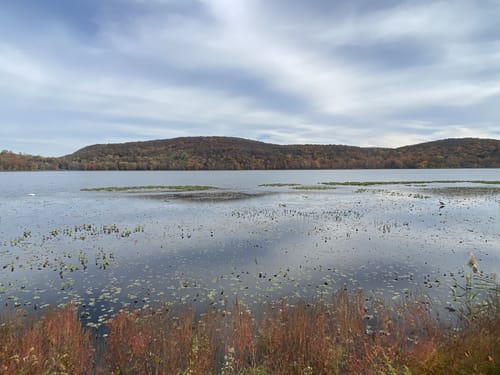 Best Hikes and Trails in Rockland Lake State Park | AllTrails