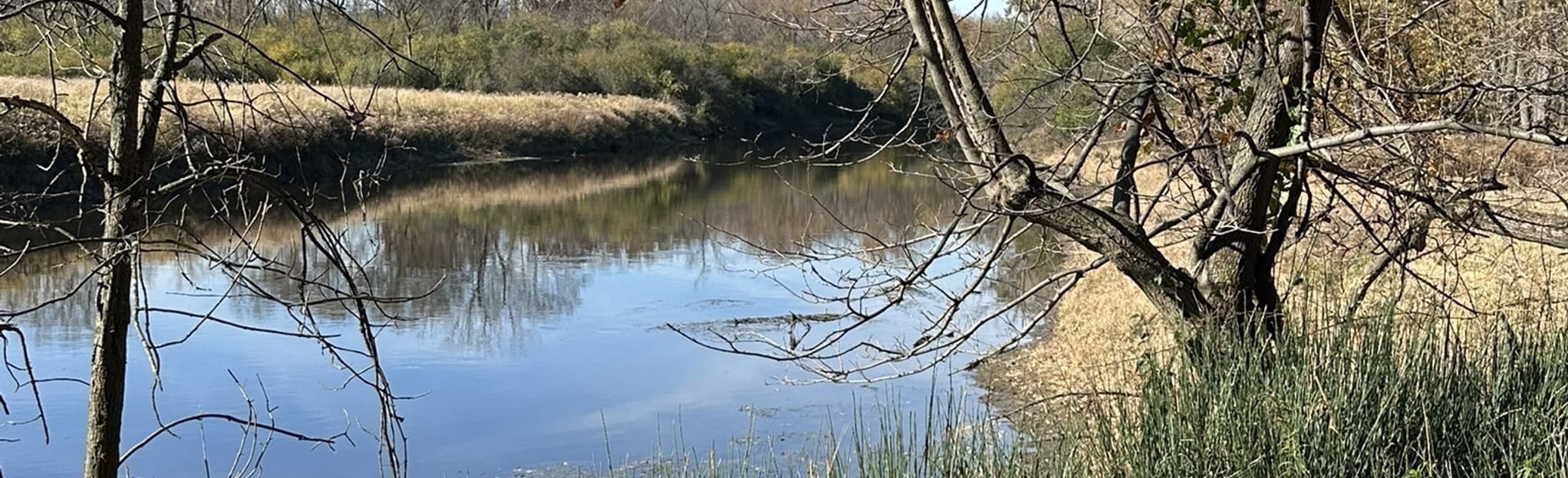 River Trail Nature Center Loop | Map, Guide - Illinois | AllTrails