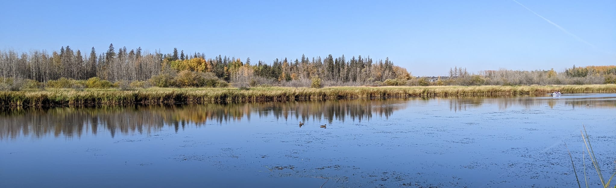 Big Lake Paddle, Alberta, Canada - 9 Reviews, Map | AllTrails