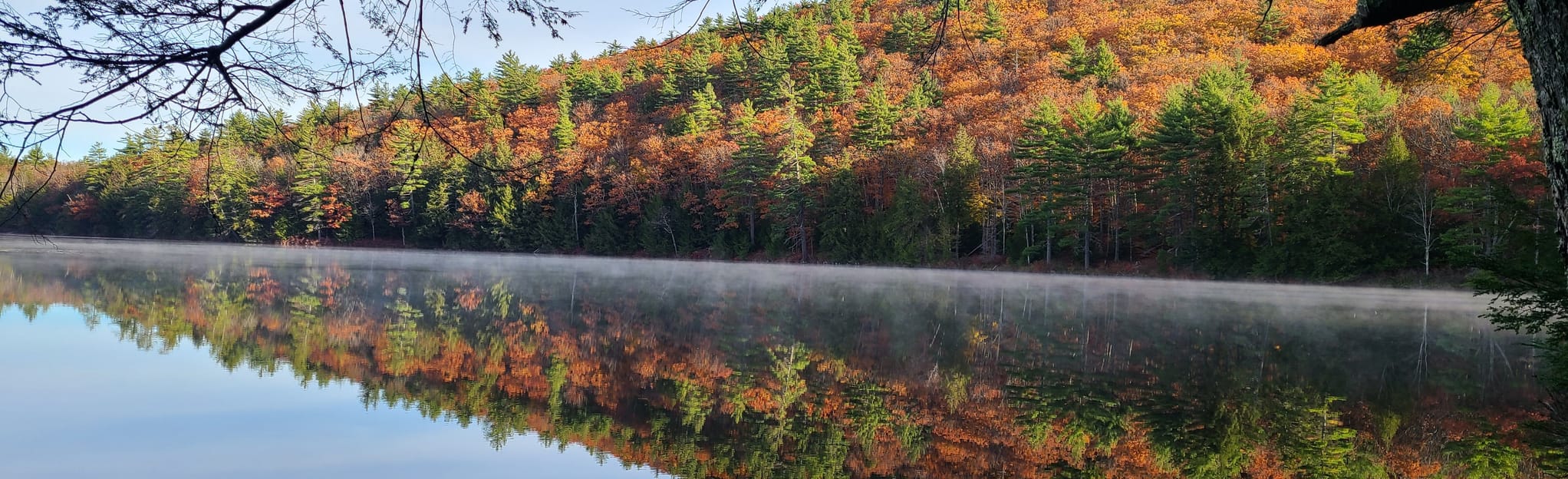 Knight’s Pond Loop: 161 Reviews, Map - New Hampshire | AllTrails