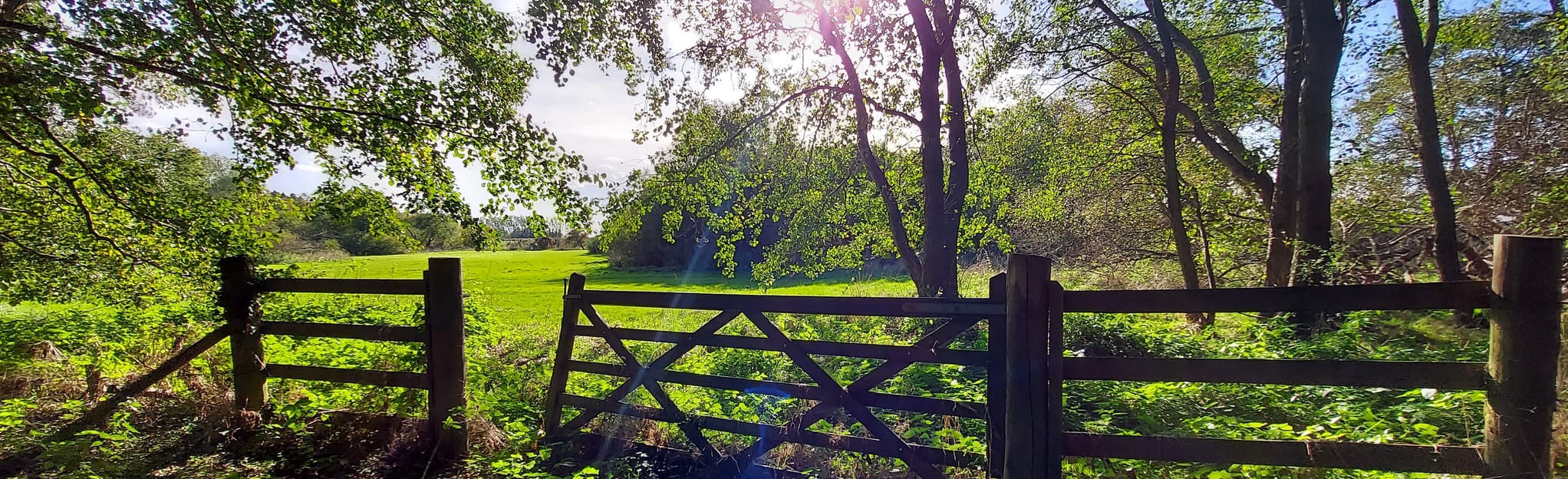 Hockham Wildlife Trail: 47 Reviews, Map - Norfolk, England | AllTrails