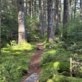 Red Spruce Knob, West Virginia - 199 Reviews, Map | AllTrails