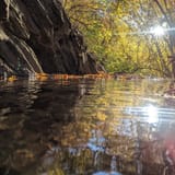 Burch Creek Trail, Utah - 665 Reviews, Map | AllTrails