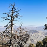 Rincon Peak Trail, Arizona - 159 Reviews, Map | AllTrails